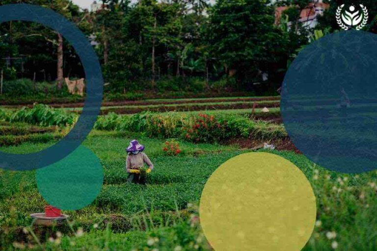 How can SMEs contribute to emission reduction along the food value chain?