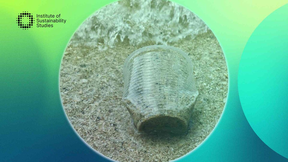 What are the steps to avoid single use plastic