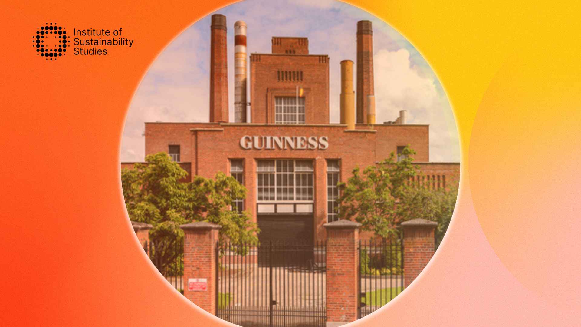 Guinness Announces Partnership With The SEAI