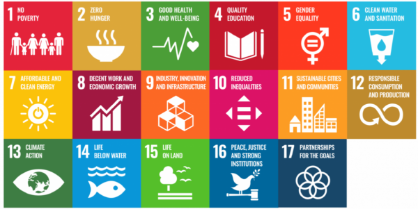 What are the UN Sustainable Development Goals?