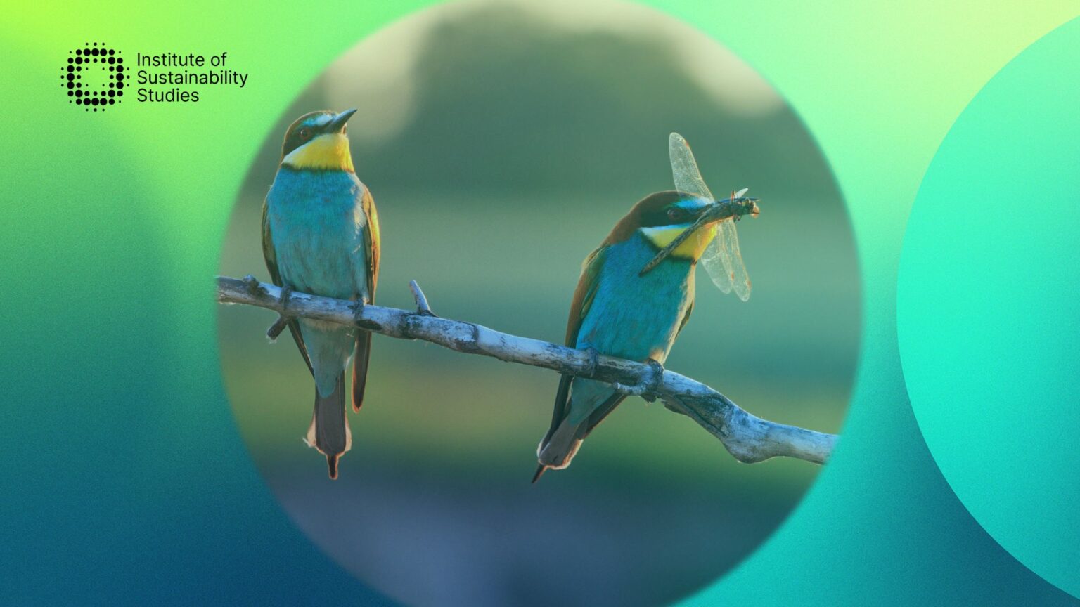 What is ecological restoration, and why is it important?