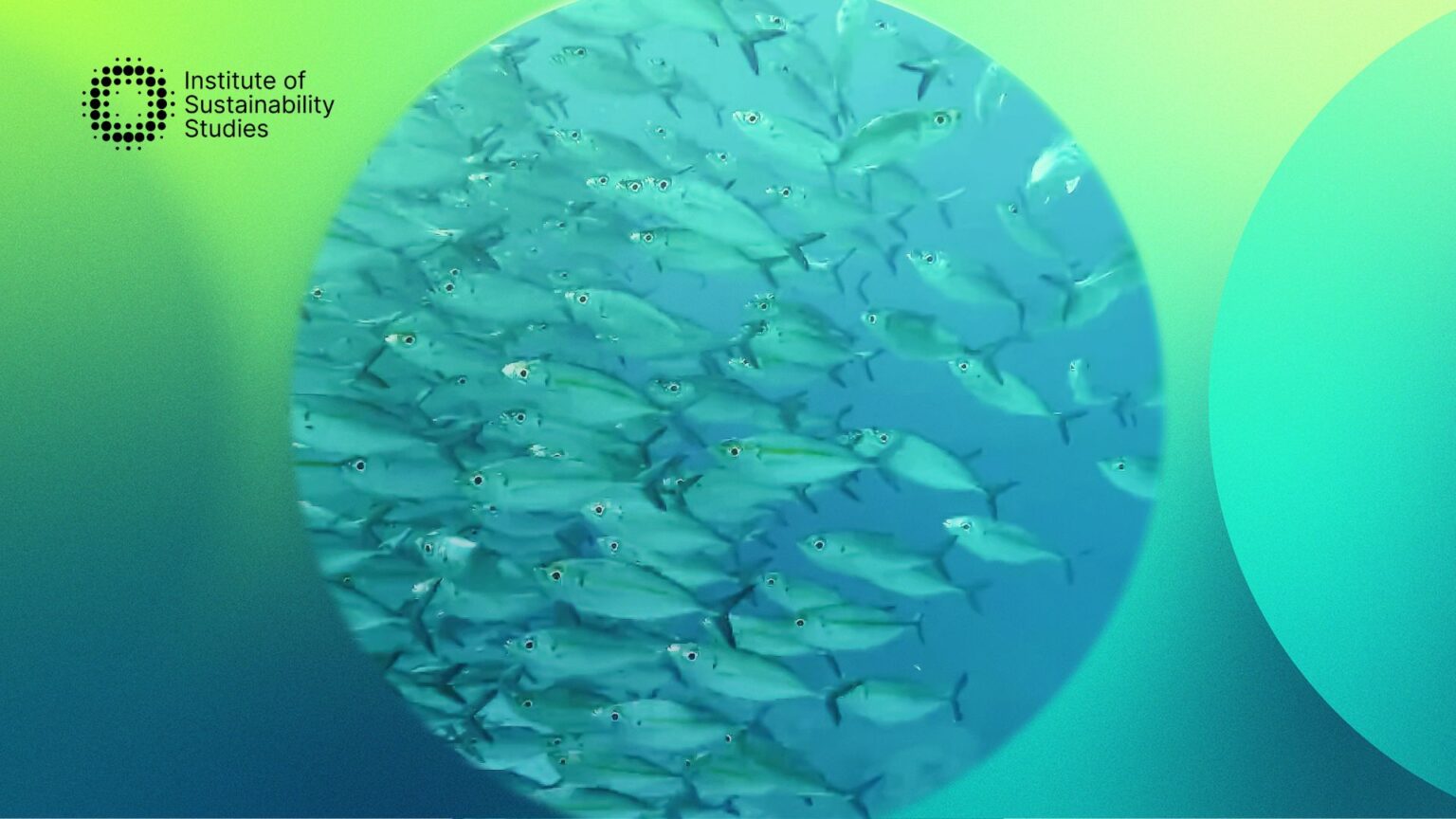 Sustainable fisheries: A key solution for preserving ocean health