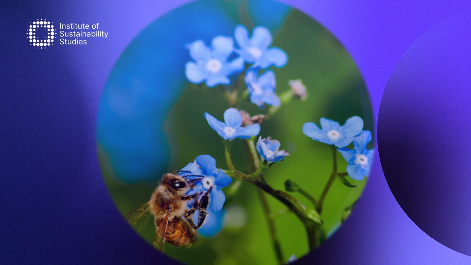 Biodiversity credits: How to integrate them into your strategy