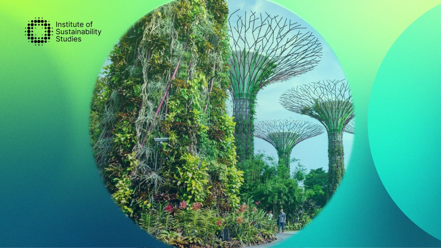 Singapore: The compact city championing urban biodiversity