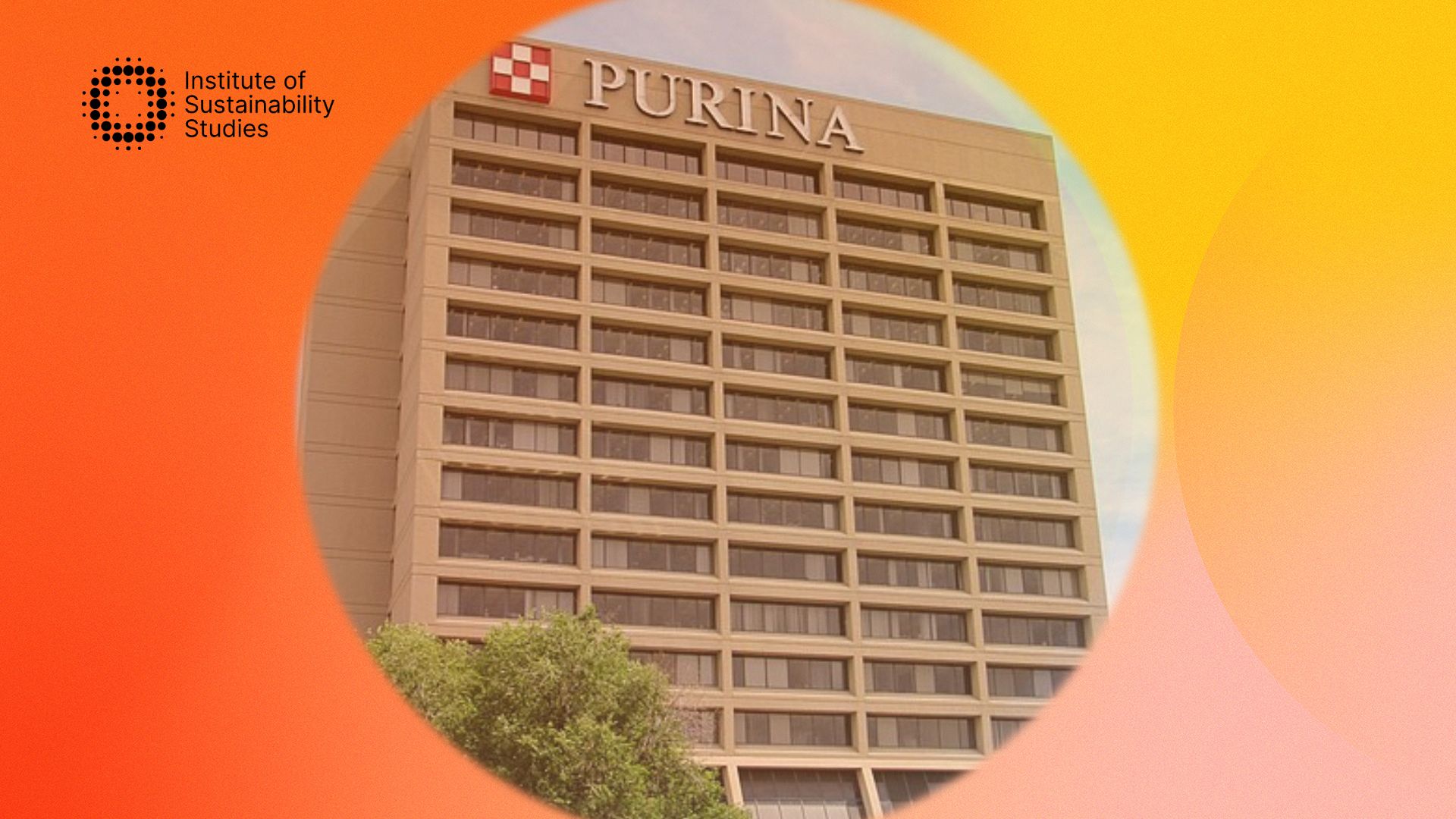 Building capacities of SMEs in adaptation planning