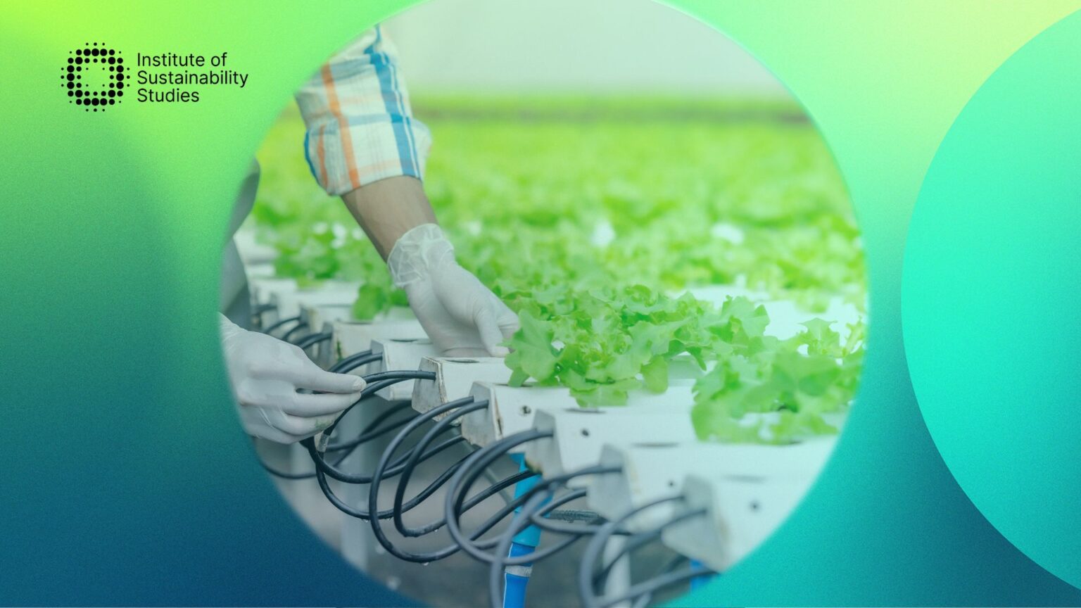 How sustainable product innovation is transforming industries