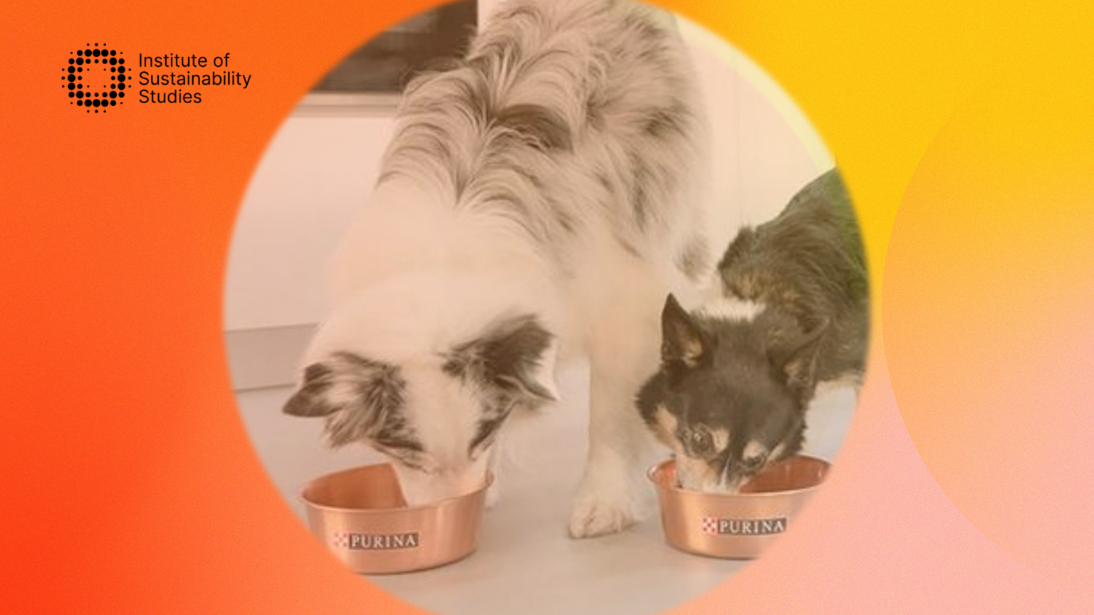 Sustainable pet food: Purina and Cargill join forces