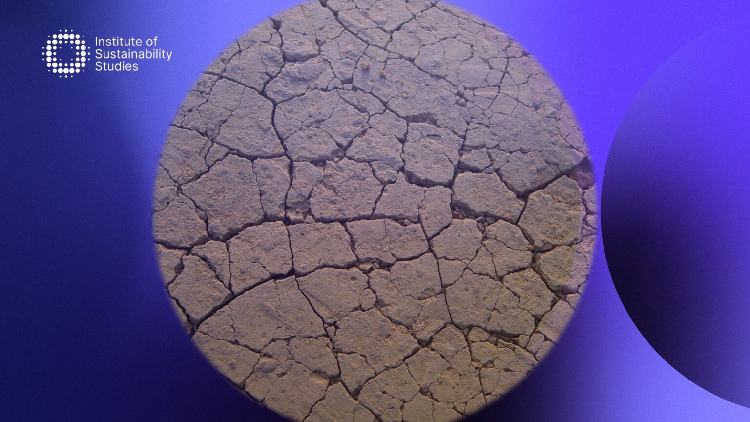 Understanding water scarcity and business sustainability