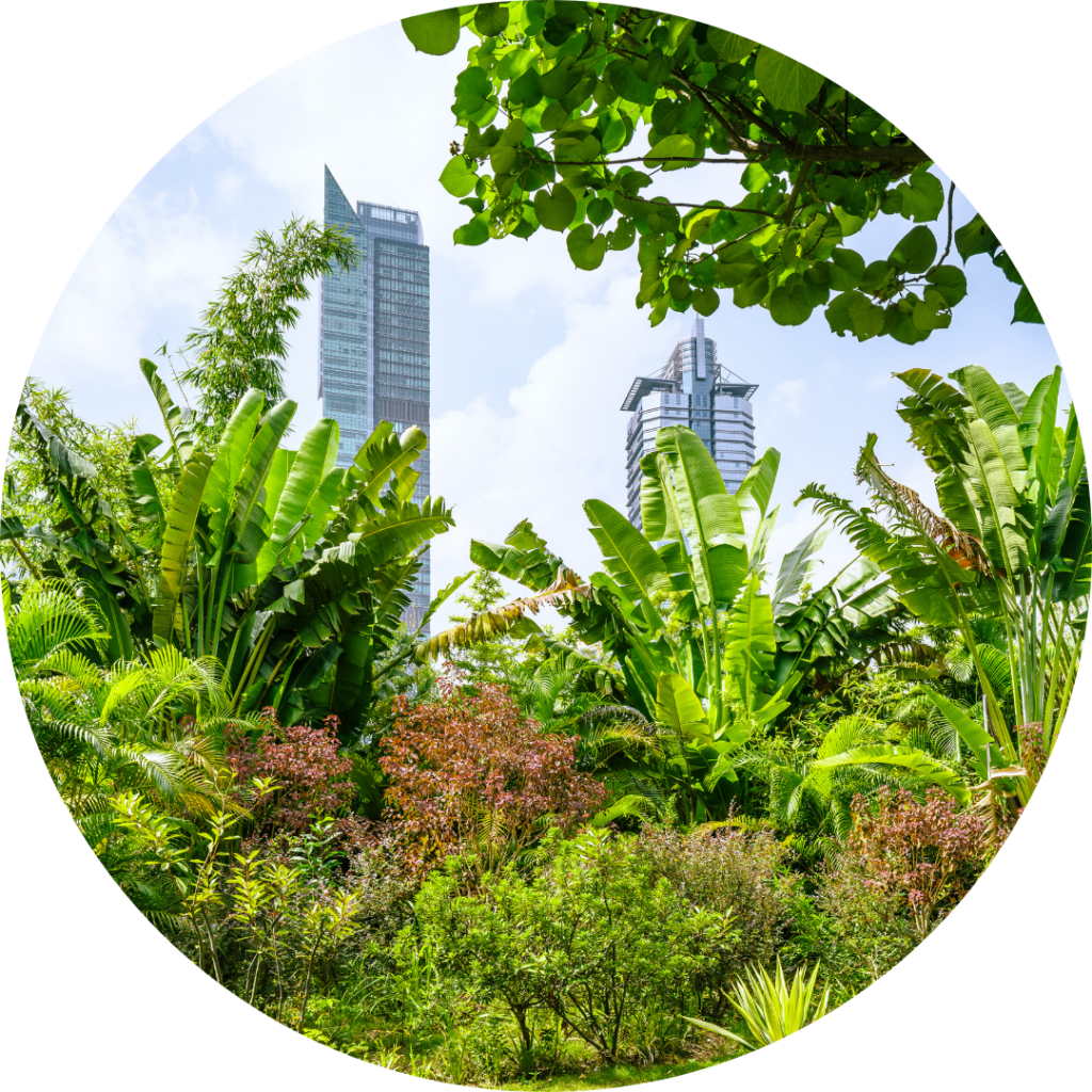 ESG Reporting | Online Certificate Course | ISS